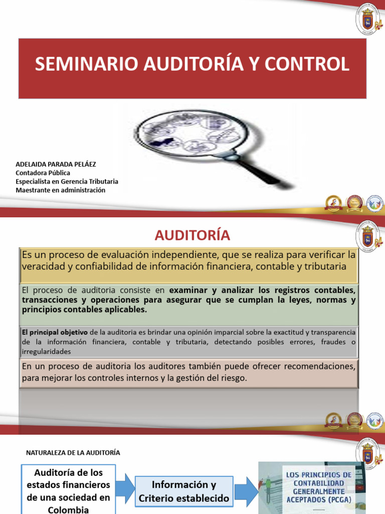 Auditoría y Control Interno en Empresas | PDF | Auditoría | Planificación