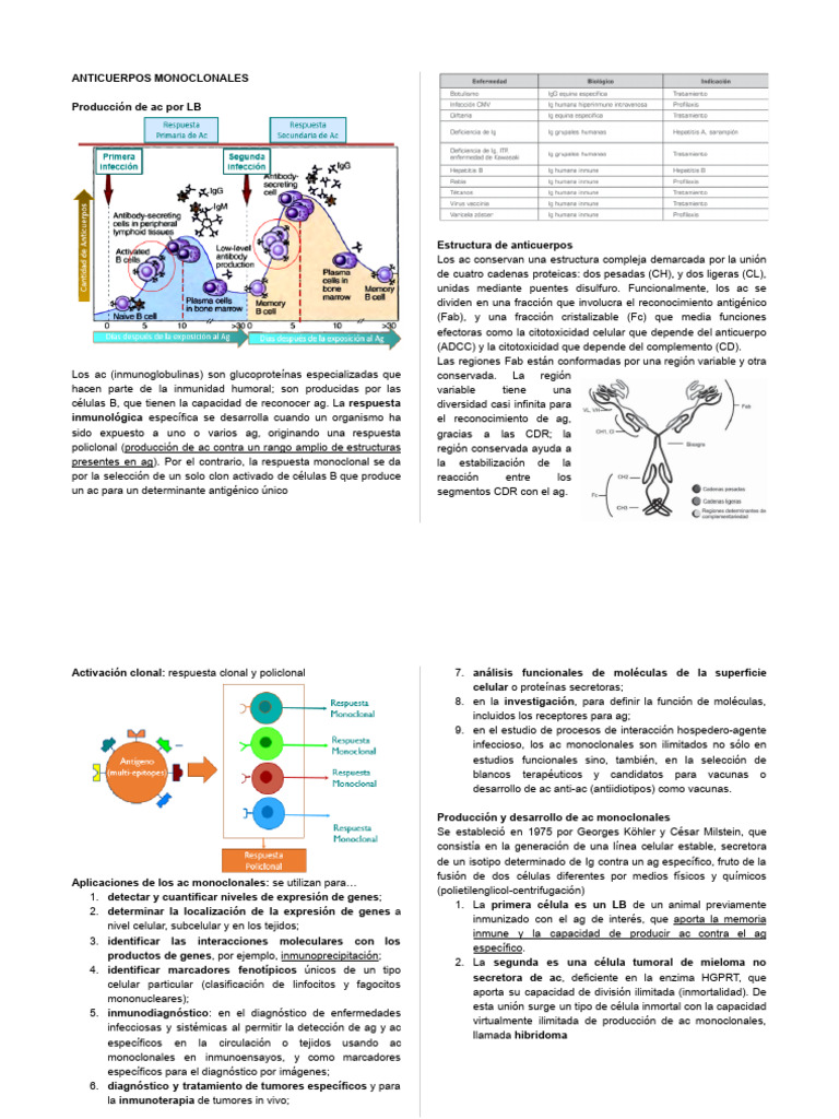 Anticuerpos Monoclonales | PDF | Anticuerpo Monoclonal | Anticuerpo