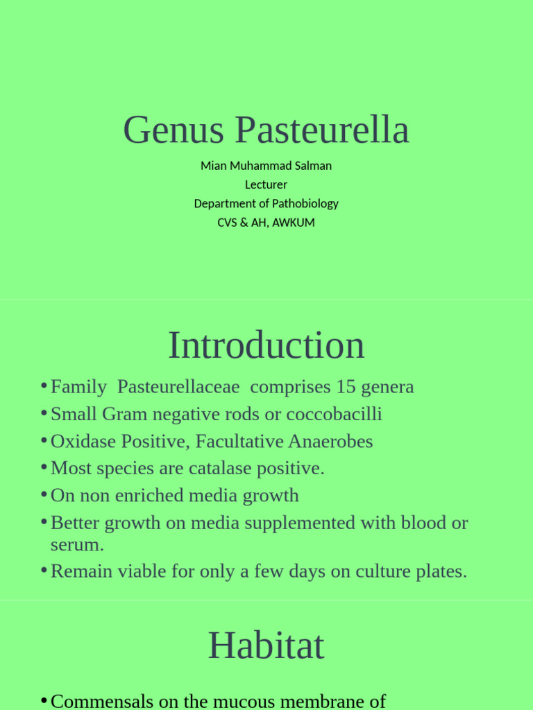 Pasteurella | PDF | Microbiology | Medical Specialties