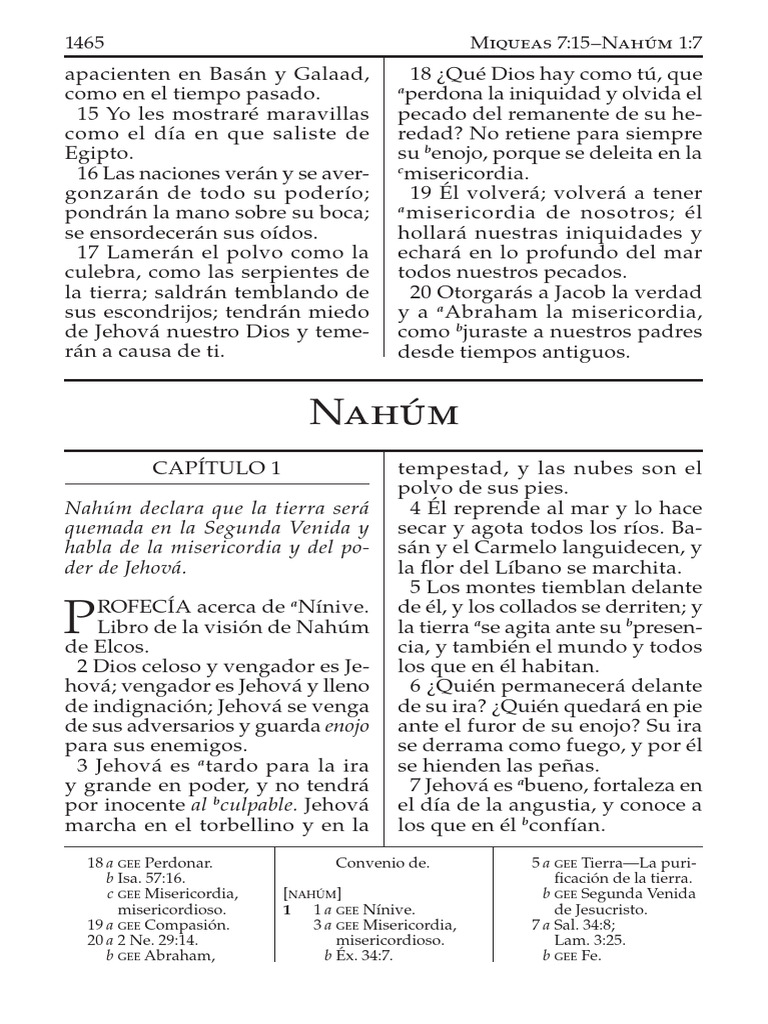 Profecías de Nahúm y Habacuc | PDF