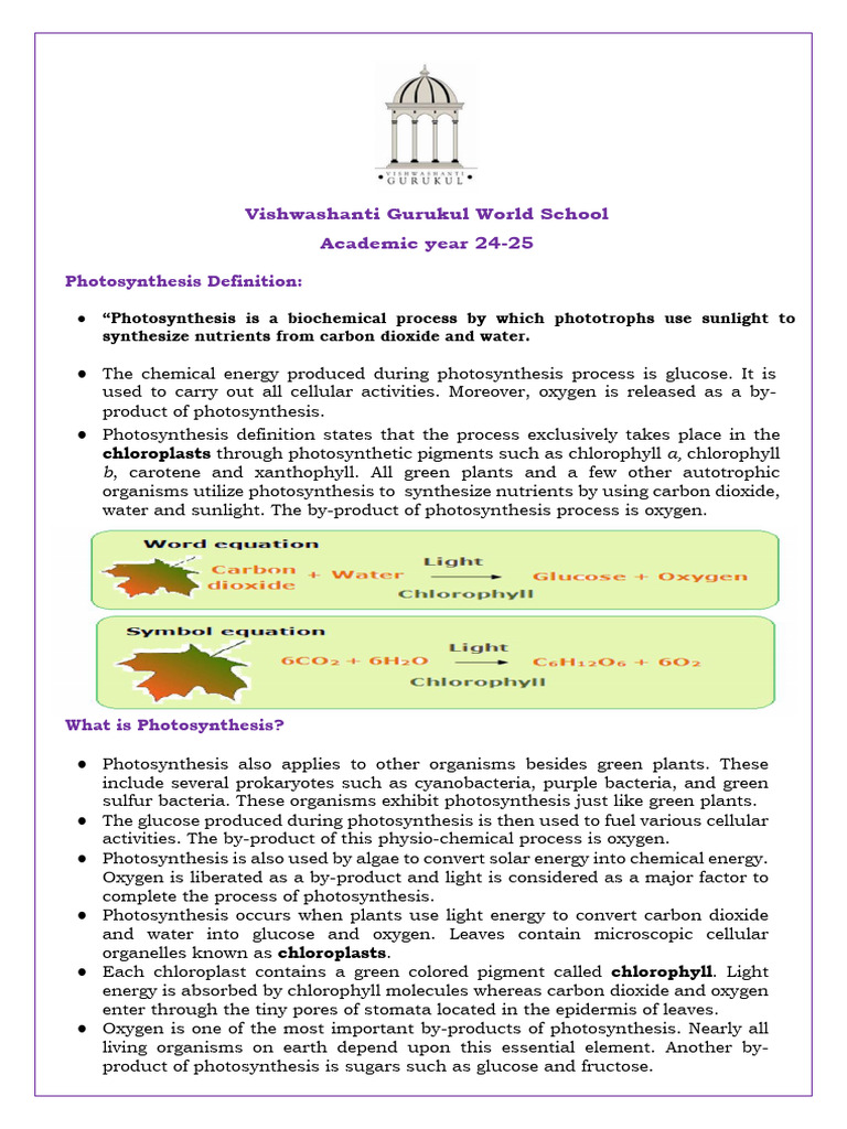 MYP 4 Unit 2 Notes Part 3 | PDF | Cellular Respiration | Photosynthesis
