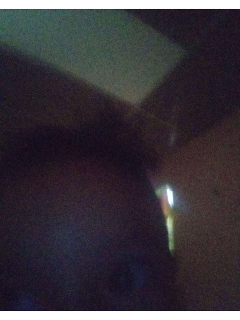 Img 20250410 153203 612 | PDF