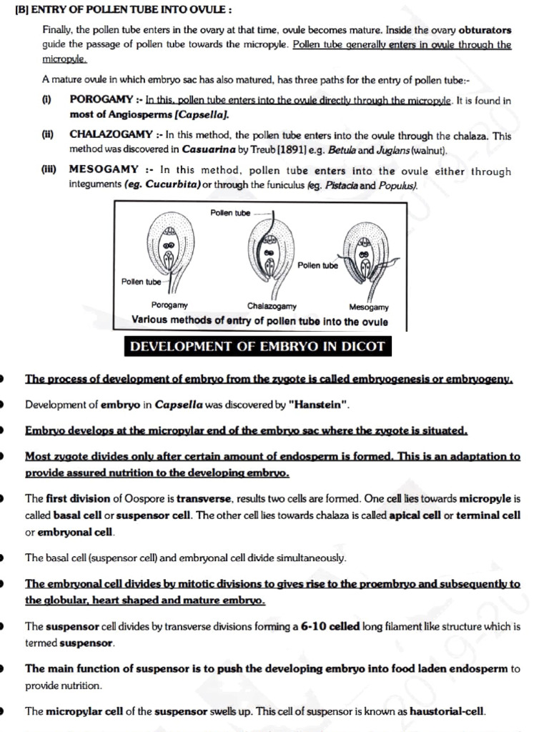 swxual reproduction in flowering plants | PDF | Seed | Embryo