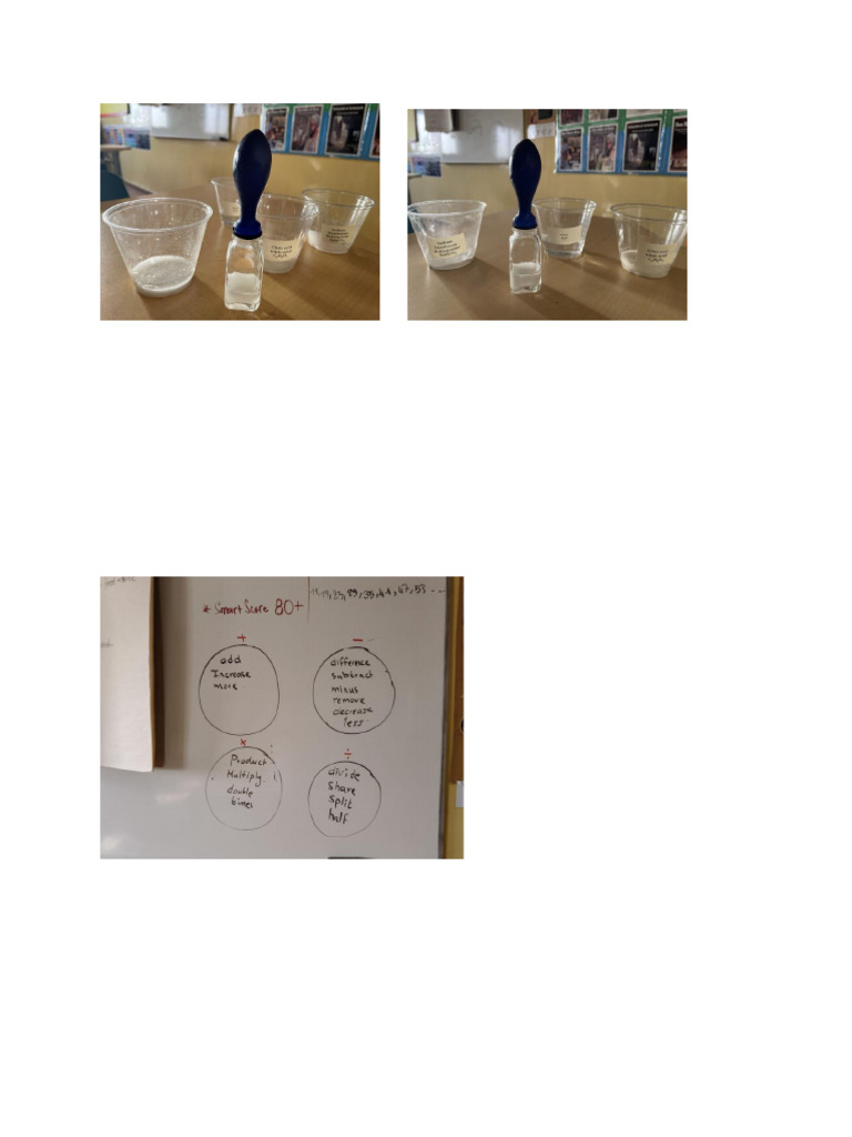 Grade 7 Science Experiment | PDF