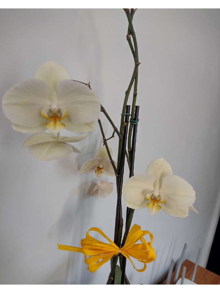 IMG_20250308_112834751_HDR | PDF