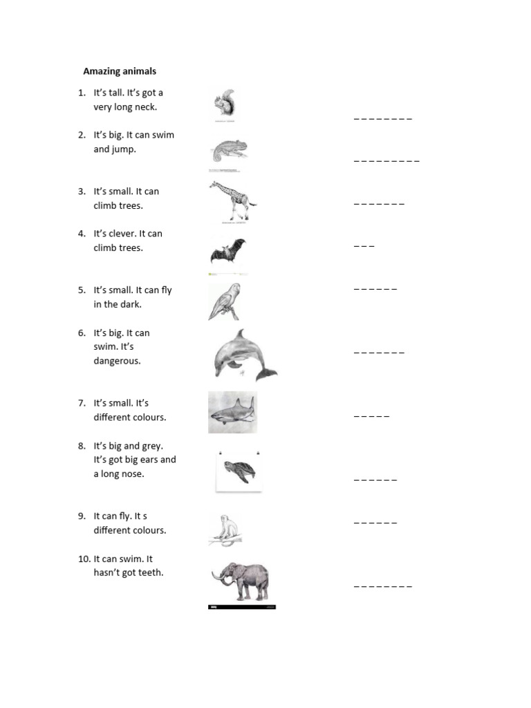 Amazing animals | PDF