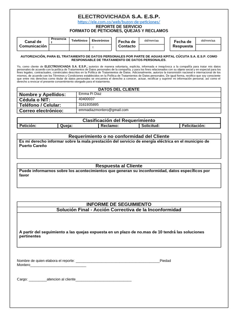 Reporte de Servicio Electrovichada | PDF