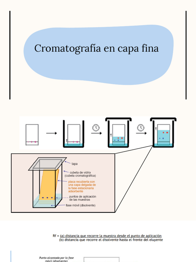 Cromatografia de Capa Fina | PDF