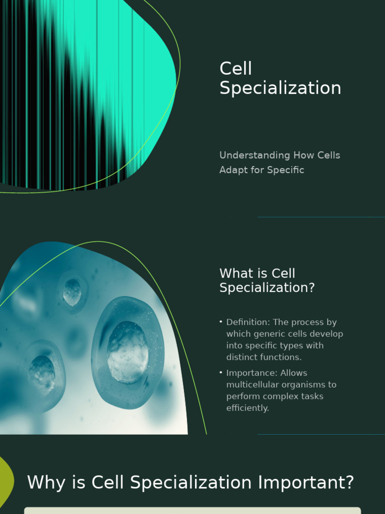 Cell Specialization | PDF