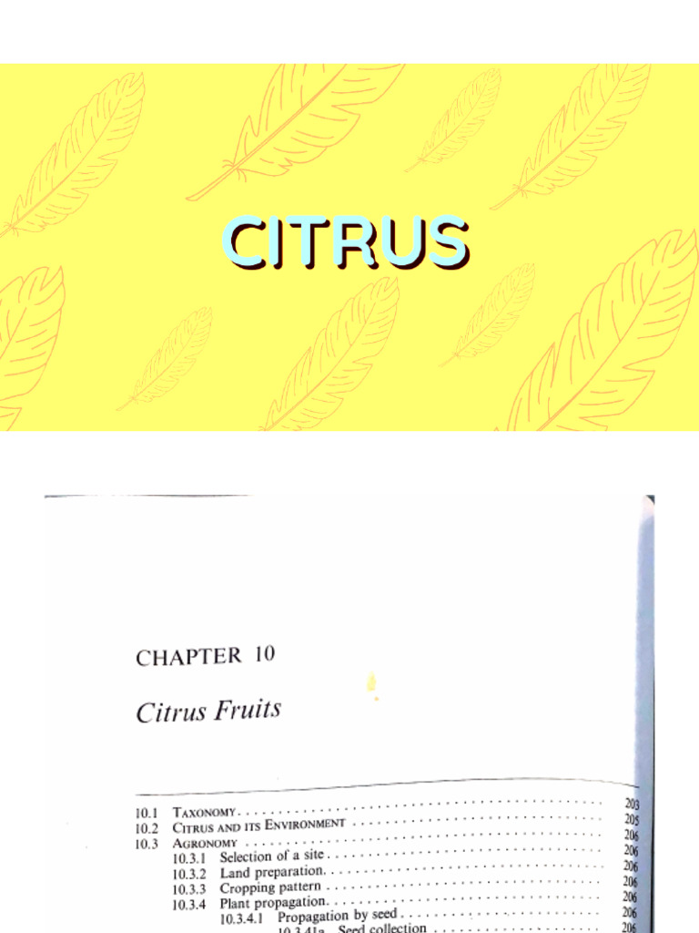 Citrus | PDF