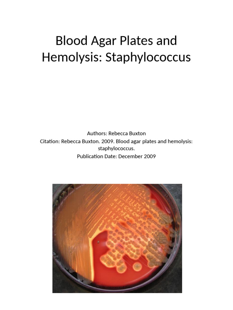 Blood Agar Plates and Hemolysis Staphylococcus | PDF | Staphylococcus ...