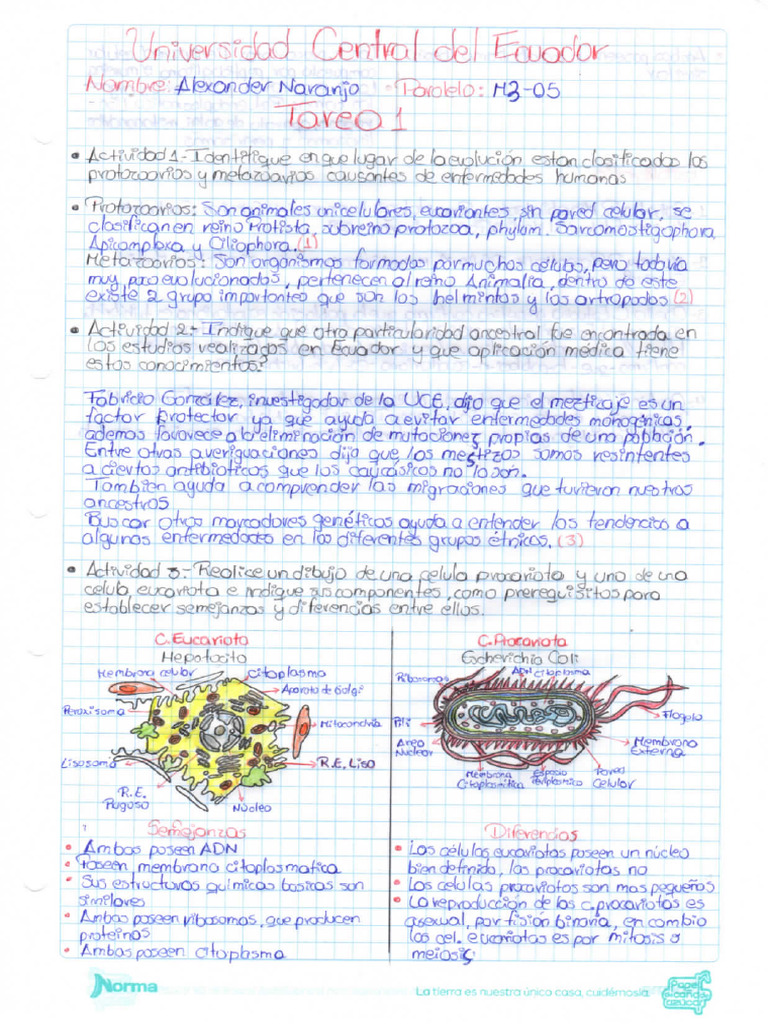 Naranjo Lopez Alexander Marco-P5 - Tarea 1 | PDF