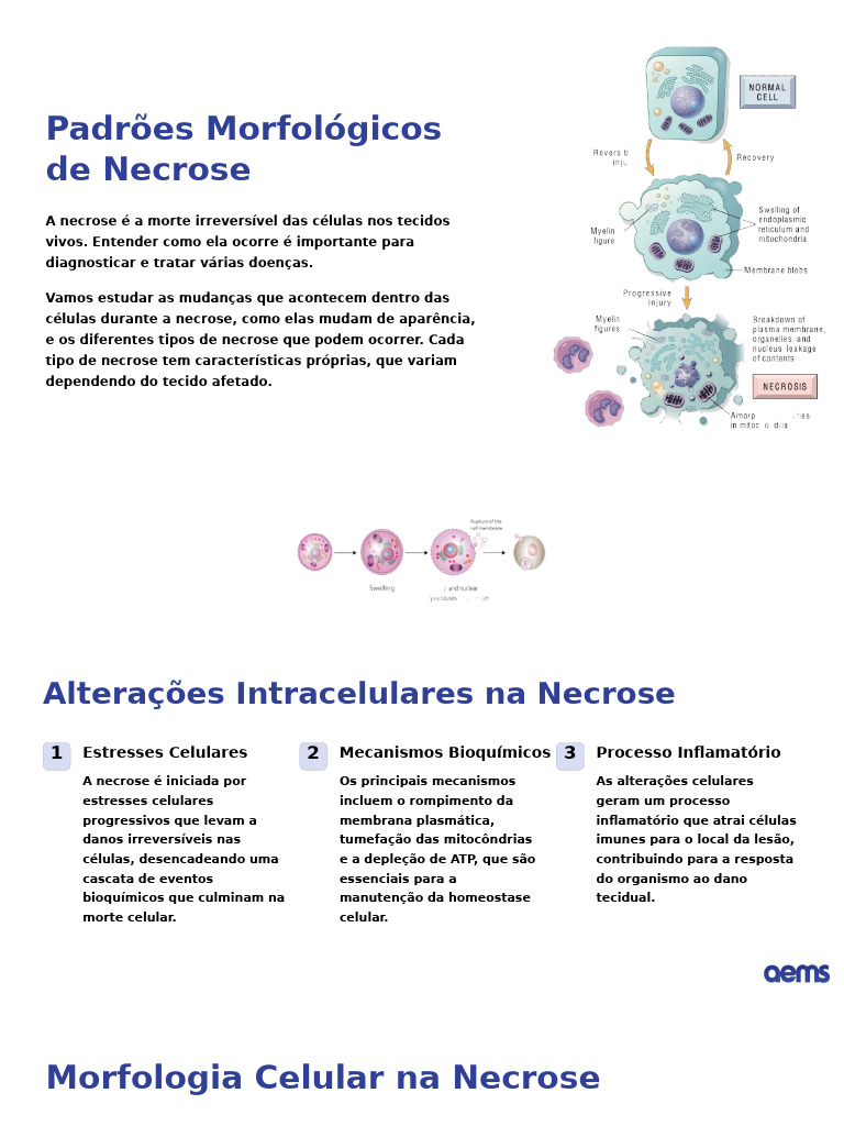 Aula 5 - Padrões Morfologicos Necrose | PDF | Necrose | Célula (Biologia)