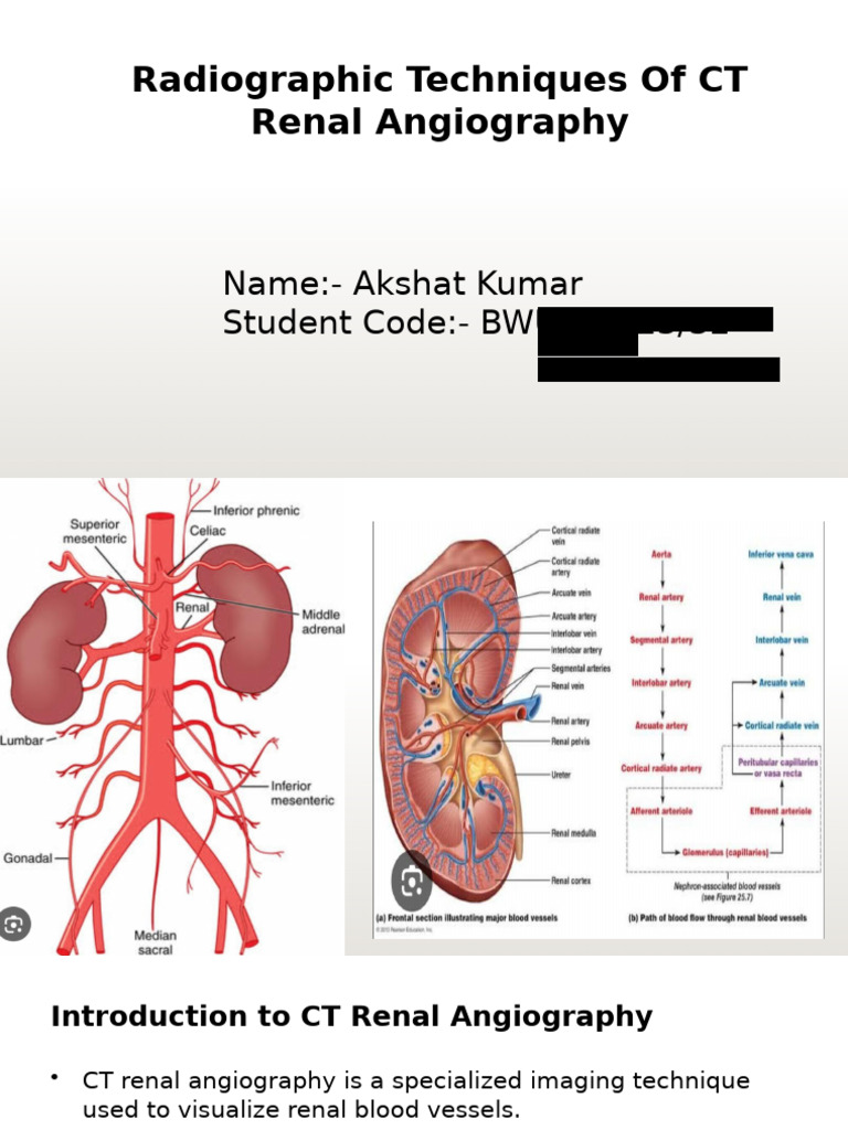 Radiographic Techniques of CT Renal Angiography | PDF | Ct Scan | Angiography