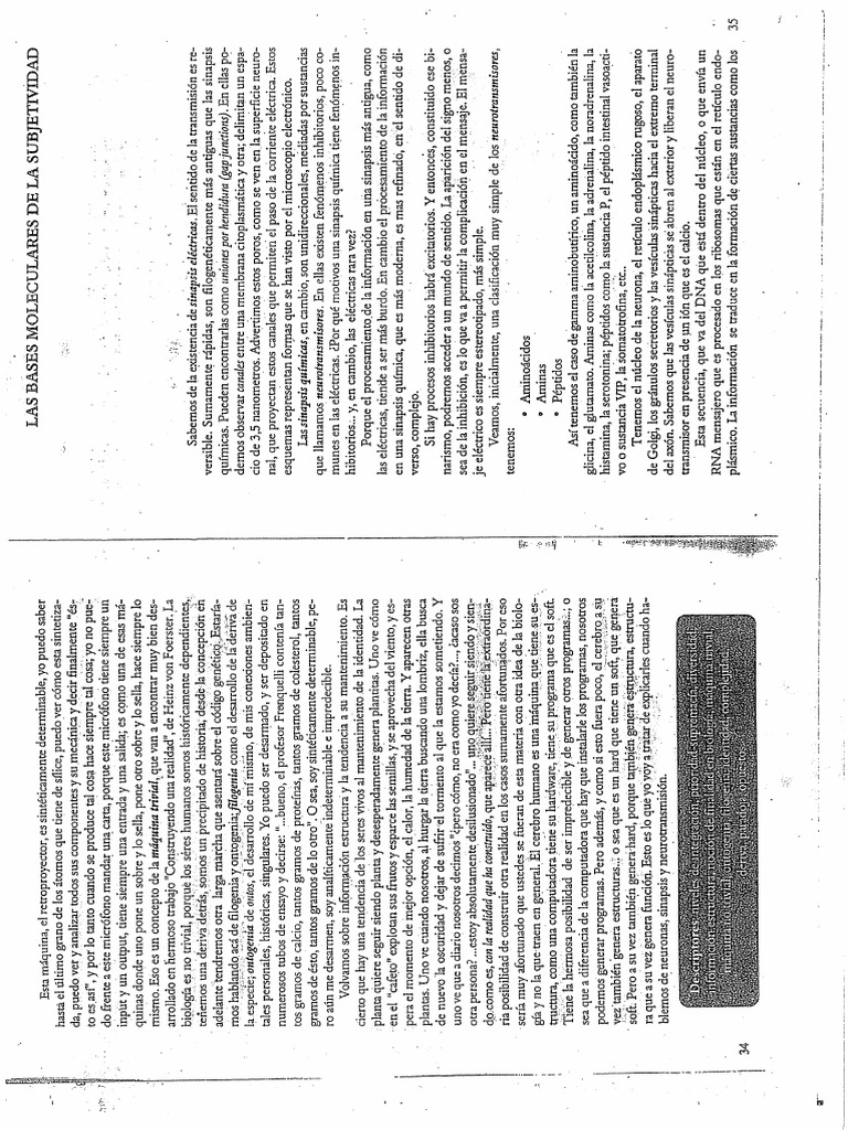13 - Frenquelli, R (2002) "Las Bases Moleculares de La Subjetividad" y "Una Pequeña Interfase ...