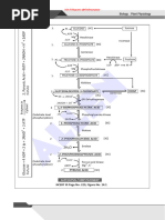 Allen Modules and Allen SRG Modules | PDF