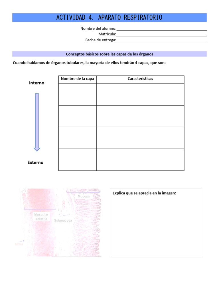 A4 Byn | PDF | Anatomía | Histología