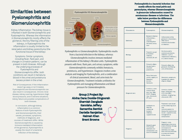 Pyelonephritis vs Glomerulonephritis Pyelonephritis results from a ...