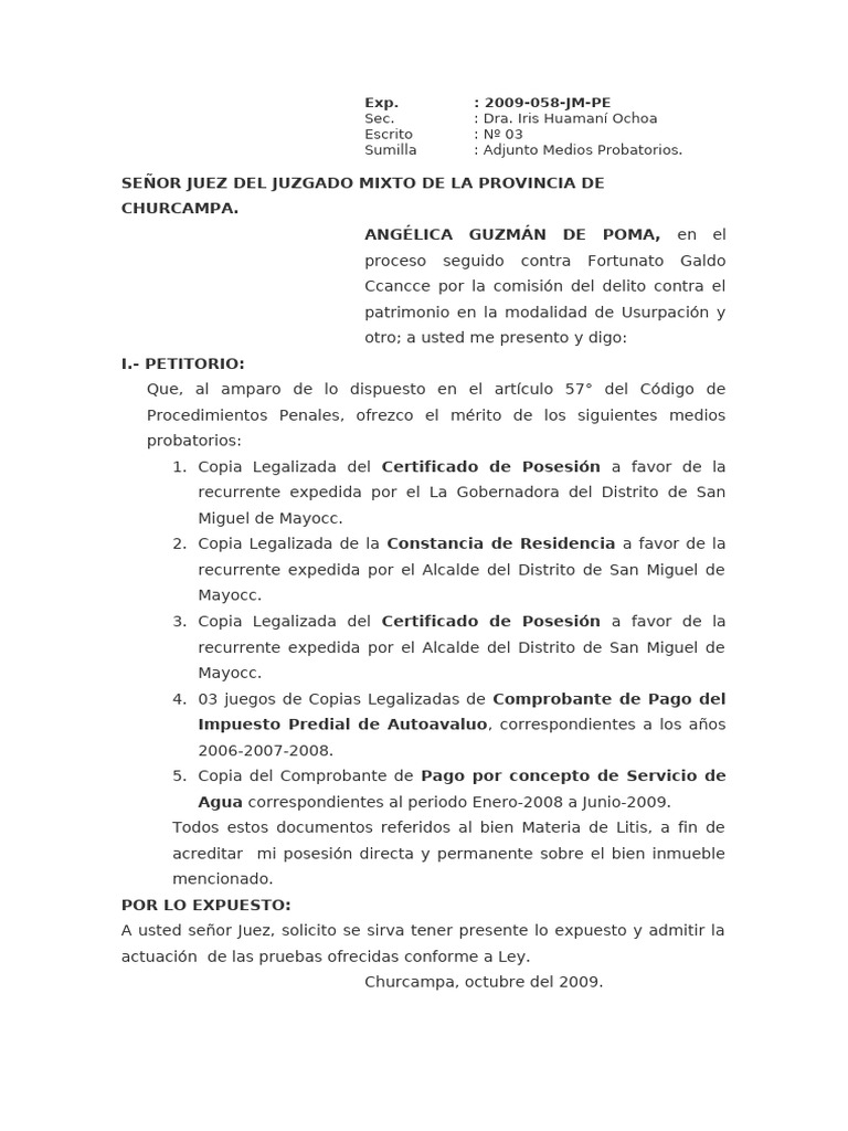 Adjunta Medios Probatorios - Delito de Daños | PDF