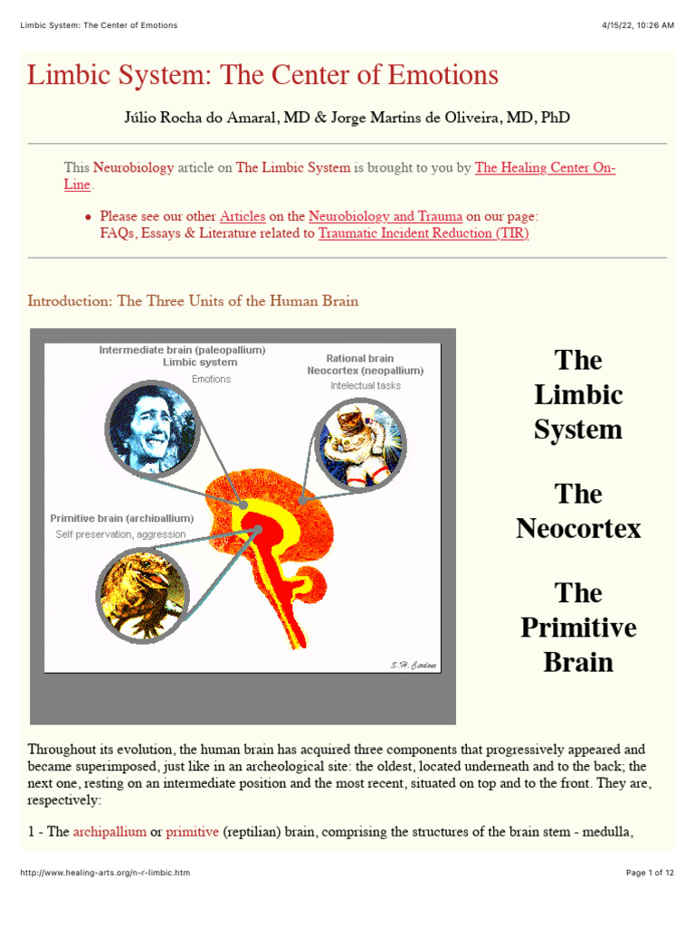Limbic System - The Center of Emotions | PDF | Limbic System | Emotions