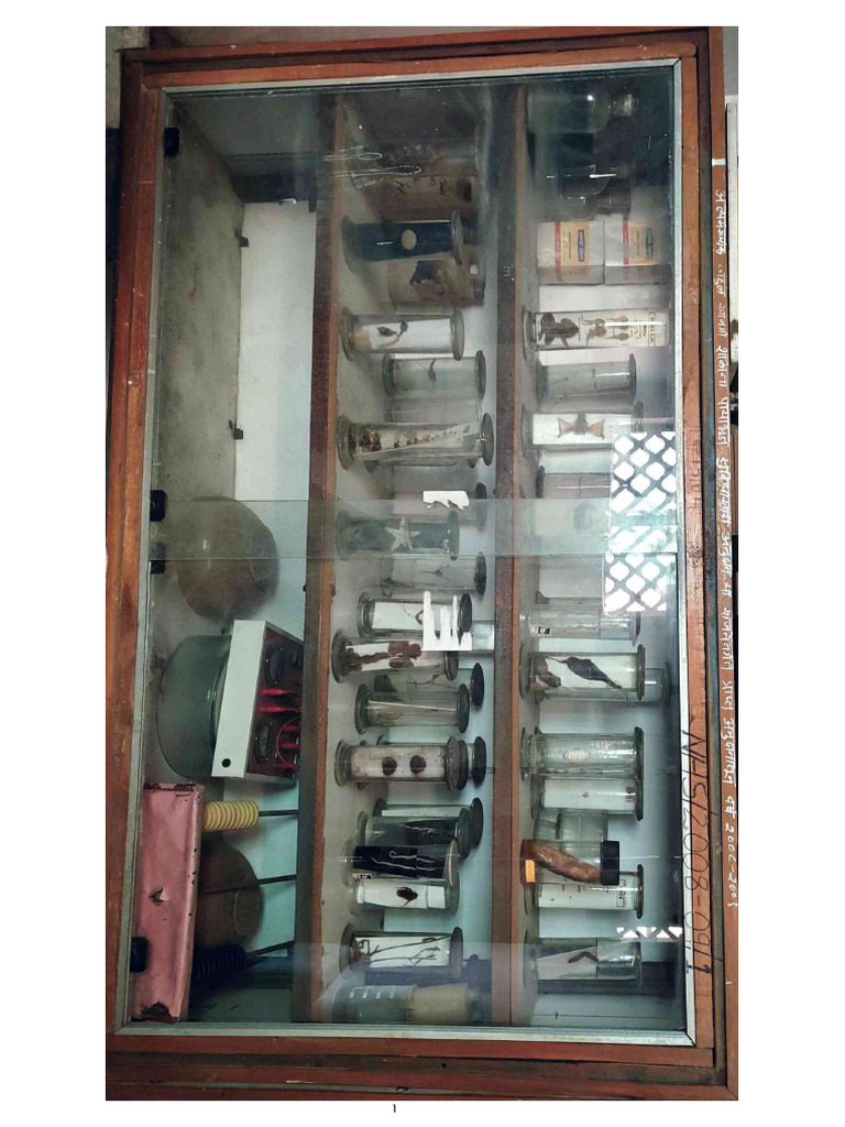 Kaagaz_20250327_130454522834 | PDF