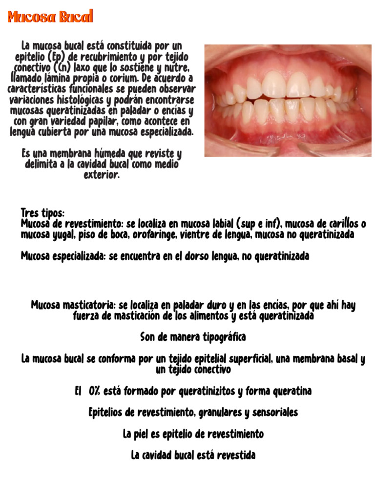 ACT.1 Mucosa Bucal y Lesiones Elementales - Jafet Sánchez | PDF | Epitelio | Membrana mucosa