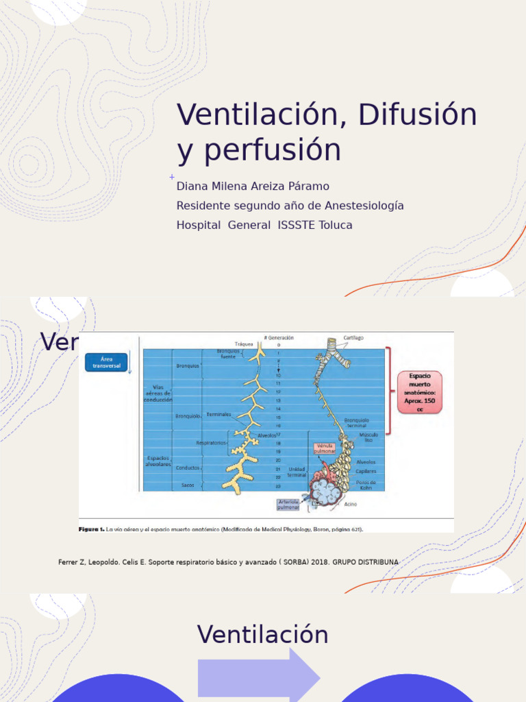 Ventilacion Disfusion | PDF | Difusión | Capilar