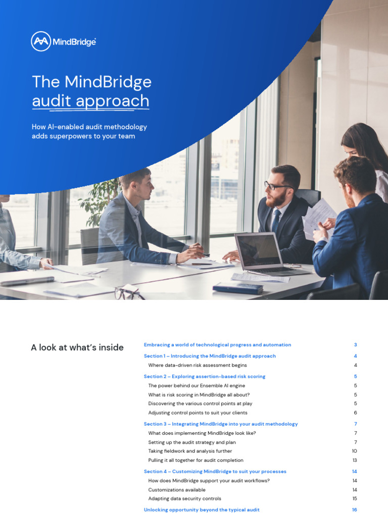 MindBridge AI Audit Methodology Overview | PDF | Audit | Analytics