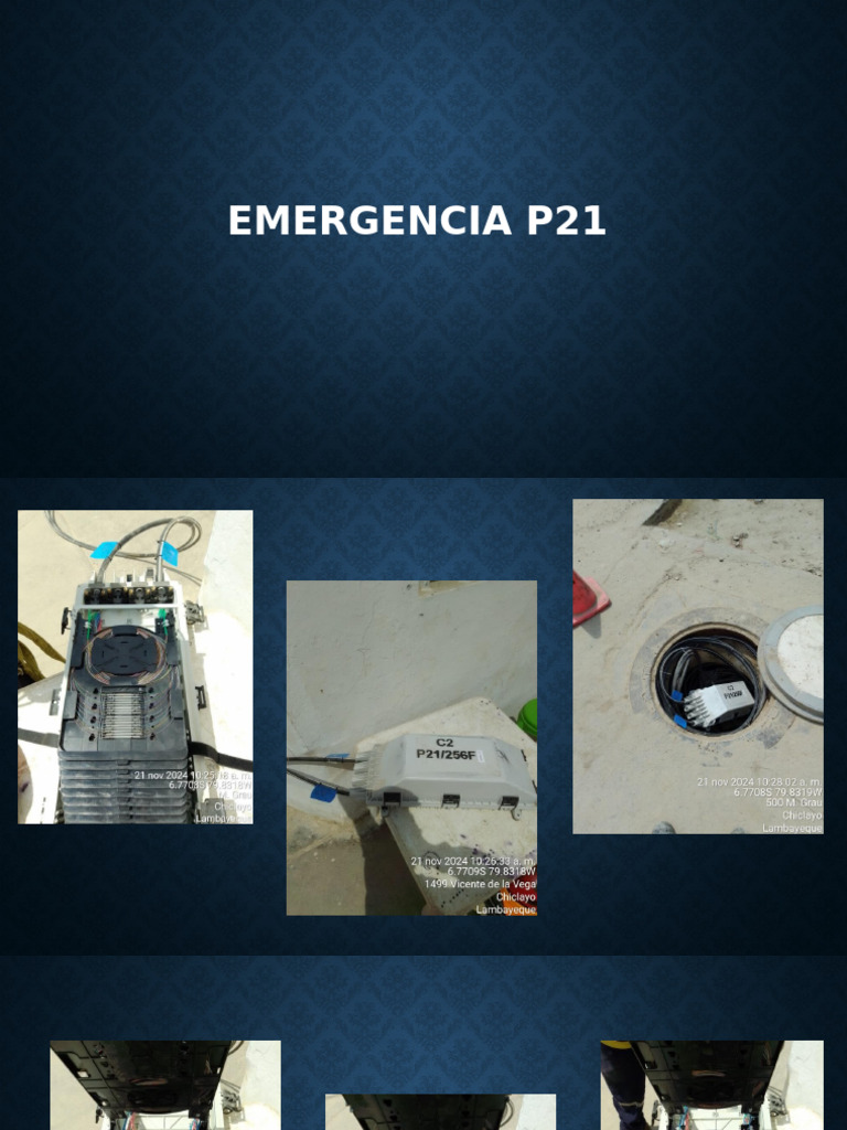 p21 Emergencia | PDF