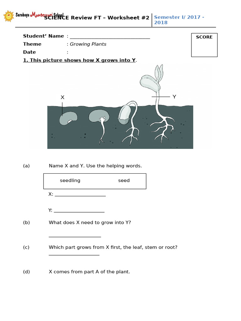 Plant Growth Experiment Worksheet | PDF