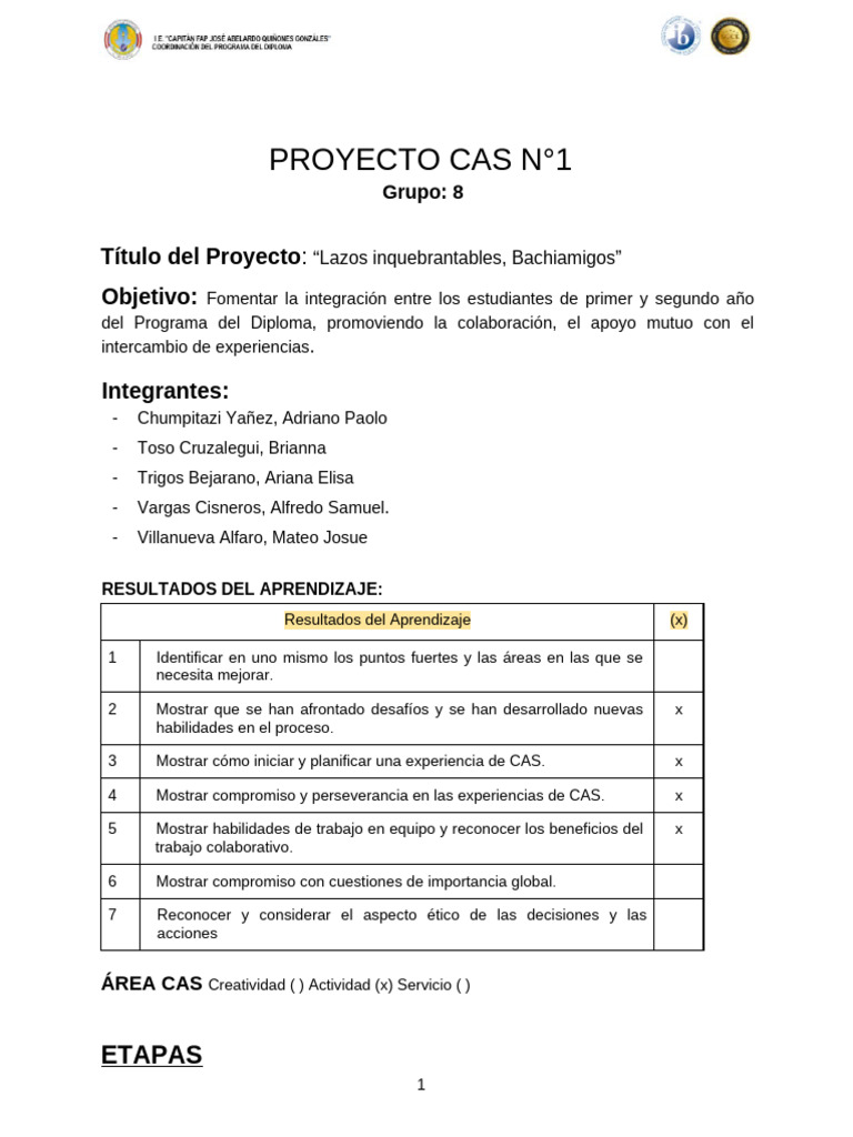 Proyecto Cas N°1 - Grupo N°8 | PDF