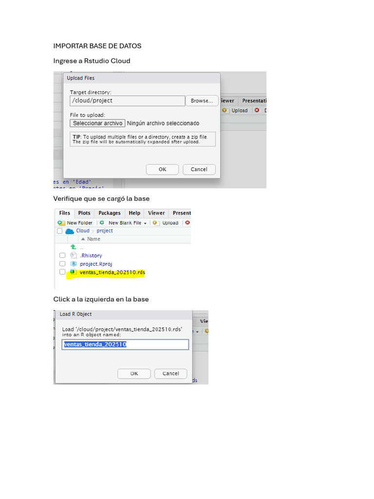 IMPORTAR BASE DE DATOS - RStudio | PDF