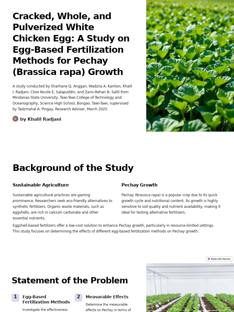 Cracked Whole and Pulverized White Chicken Egg A Study On Egg Based ...