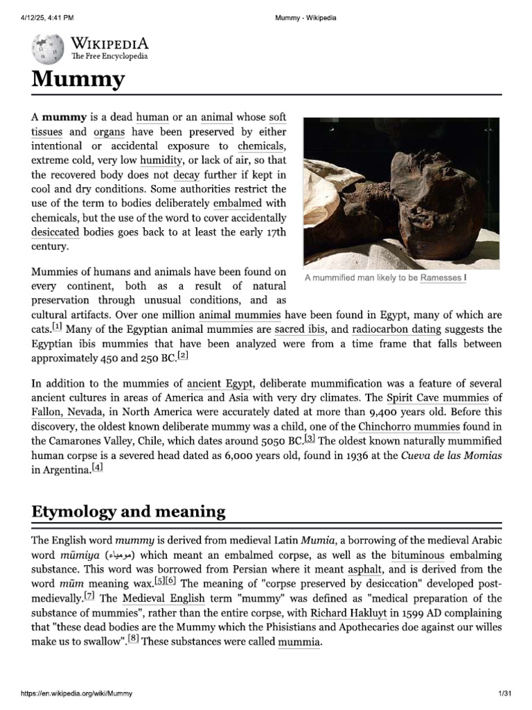 Mummy Lesson | PDF