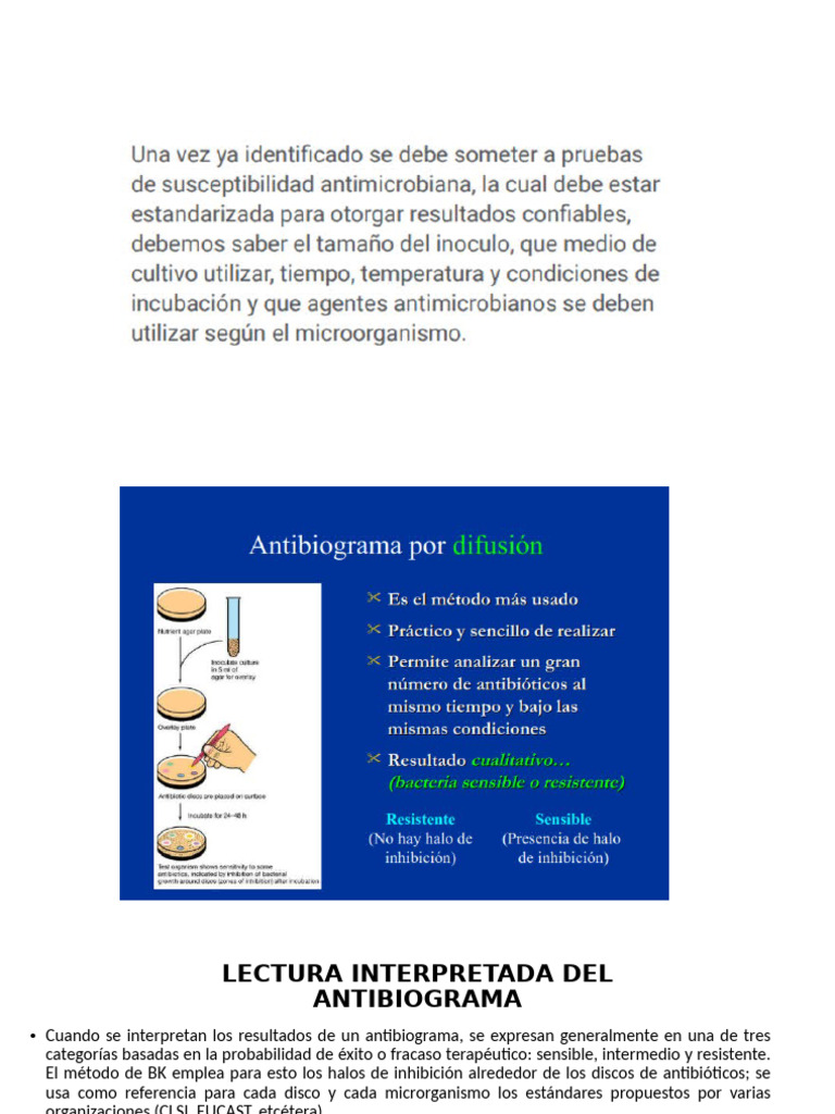 Interpretación Avanzada del Antibiograma | PDF