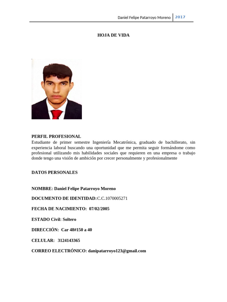 Hoja de Vida Formato | PDF
