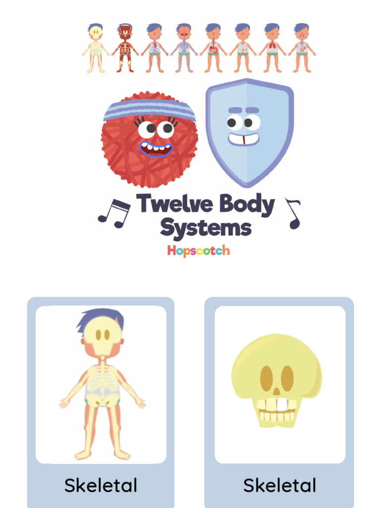 Twelve-Body-Systems-Flashcards | PDF