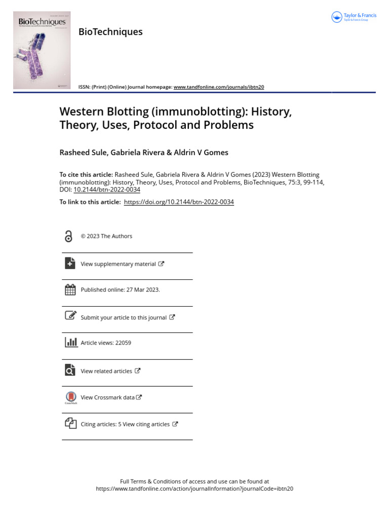 Western Blotting Immunoblotting History Theory Uses Protocol and ...