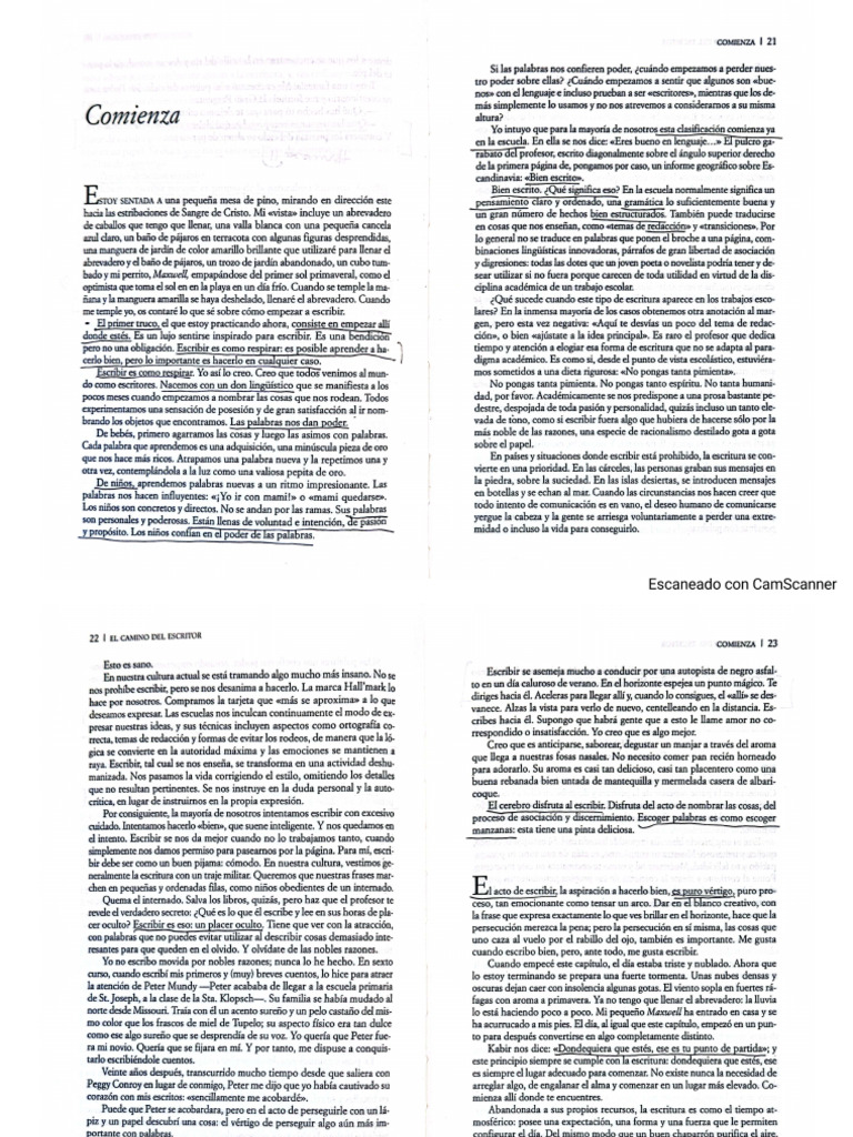 Comienza. El Camino Del Escritor. Julia Cameron | PDF