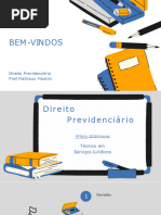 Lei 8213 Atualizada 2025 Resumo | PDF