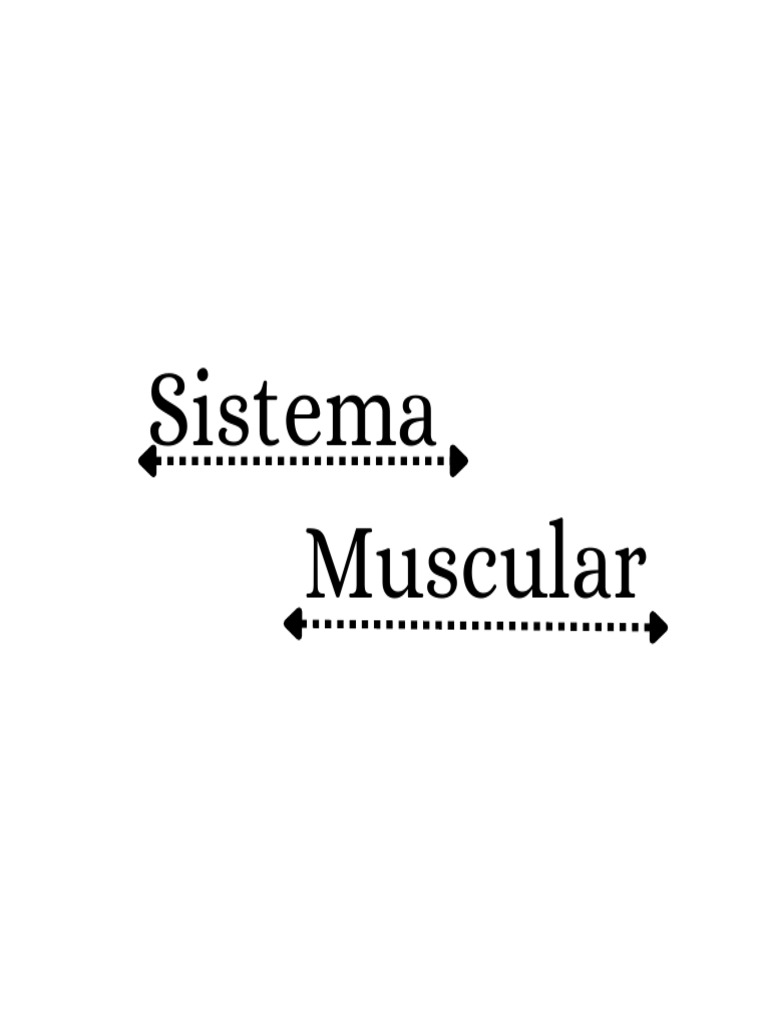 Sistema Muscular_20250412_222454_0000 | PDF