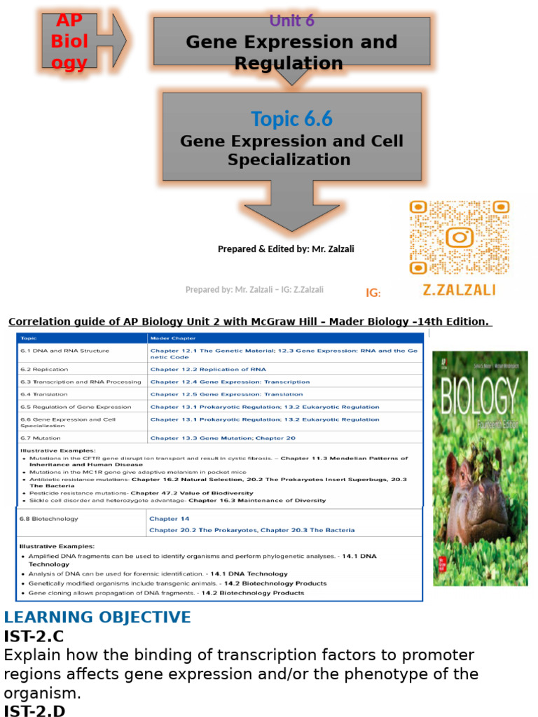 Gene Expression and Regulation Overview | PDF | Rna | Chromatin