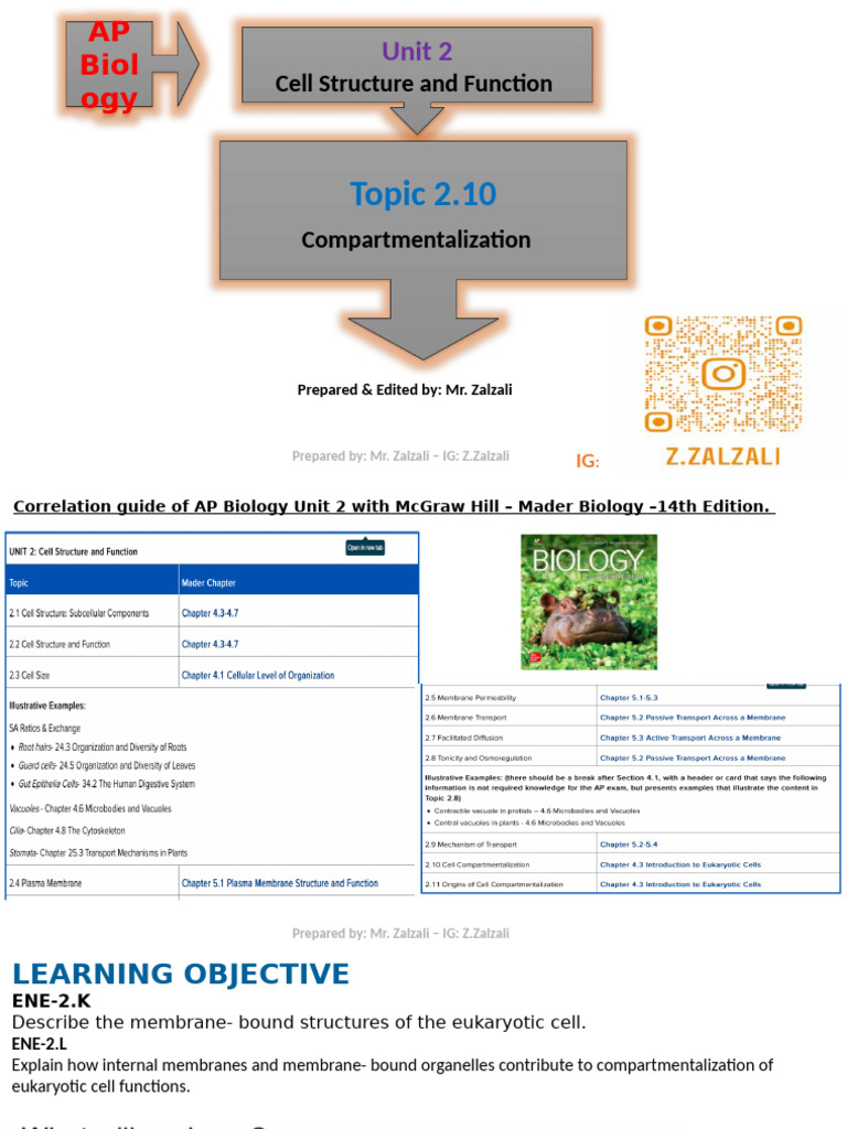 AP Bio Unit 2.10 & 2.11 Compartmentalization Origin of ...