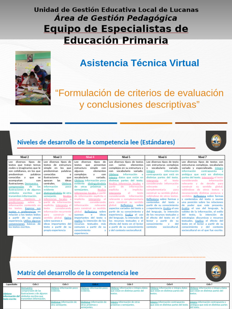 Matriz Competencia de La Capacidad Comprension Lectora | PDF ...