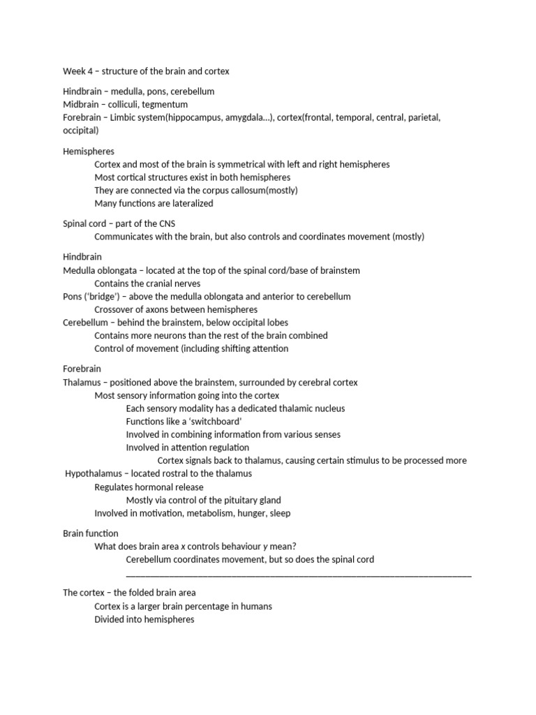ps263 Midterm23 | PDF | Visual System | Cerebral Cortex