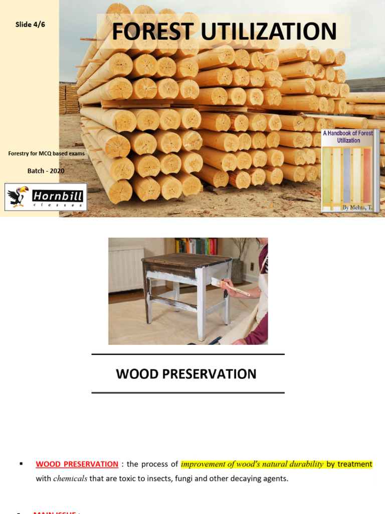 Forest Utilization 4 | PDF