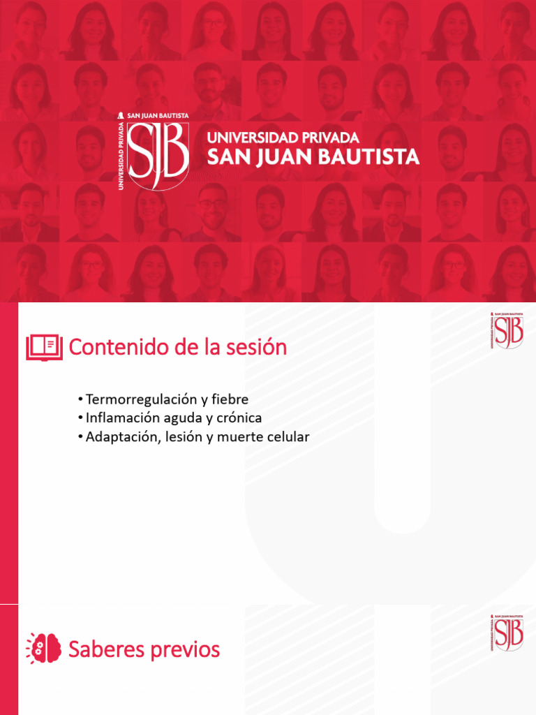 Tetrada de Celso en Fisiopatología | PDF | Inflamación | Termorregulación