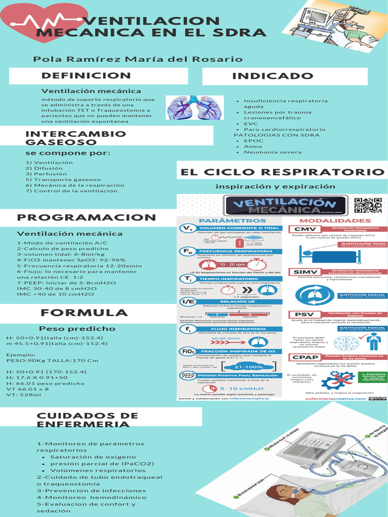 Ventilacion Mecanica | PDF
