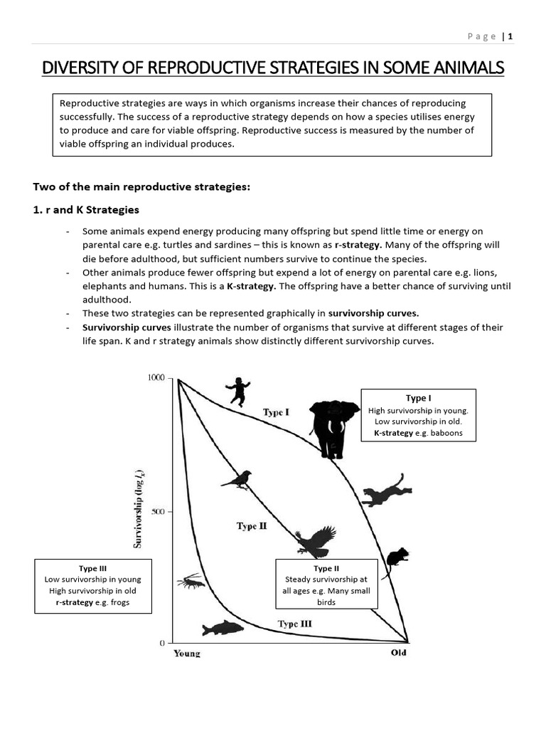 Animal Reproductive Strategies Explained | PDF | Egg | Fertilisation