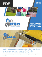 Cleaning Company Profile Overview | PDF